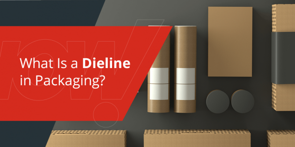 What Is a Dieline in Packaging? | Custom Boxes Now